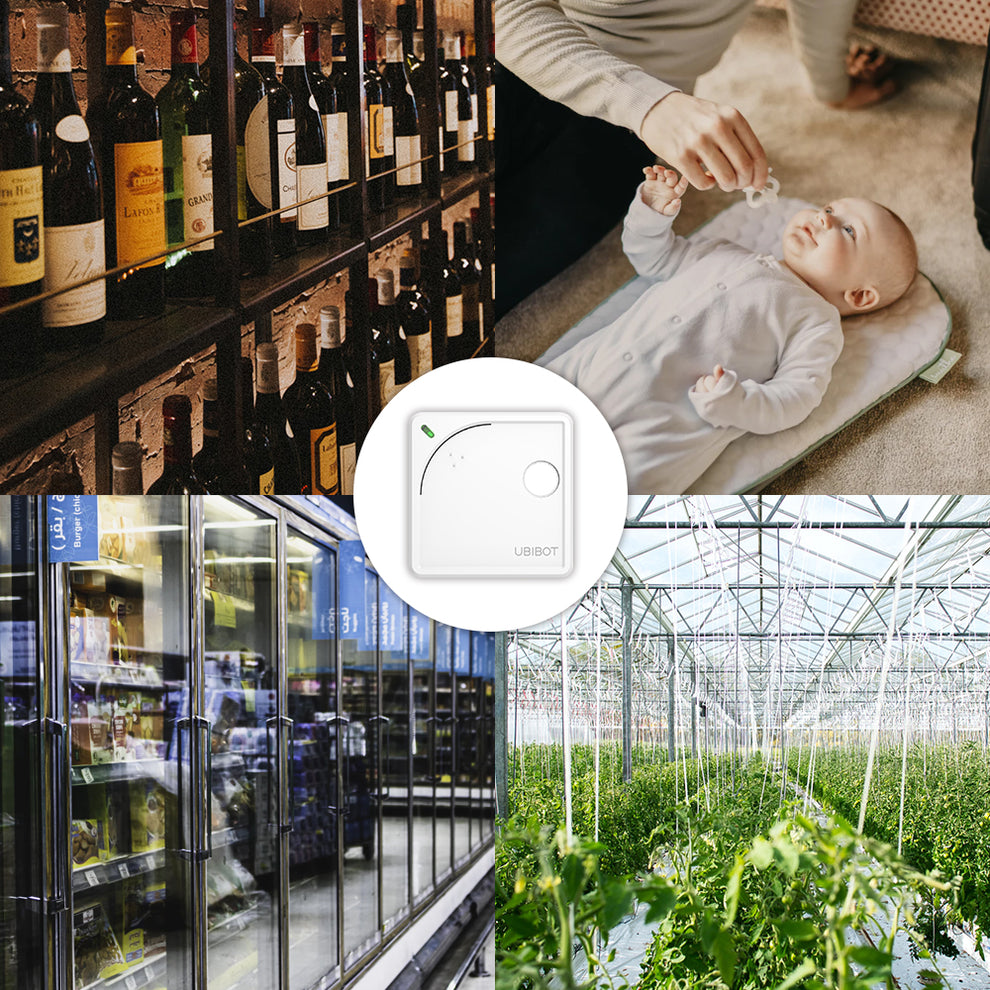 UbiBot WS1 Wireless Smart Temperature Humidity Monitor – UbiBot Online ...